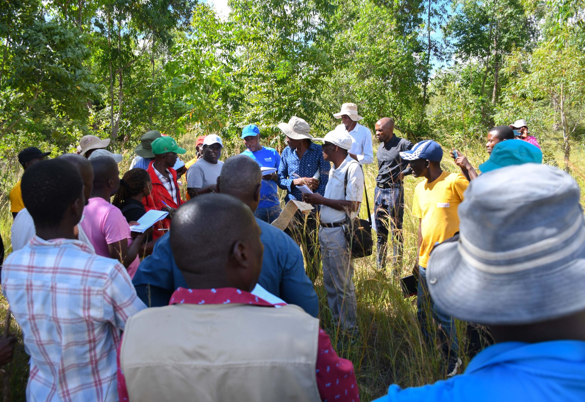 Holistic land and livestock management catapults farmers to resilience ...